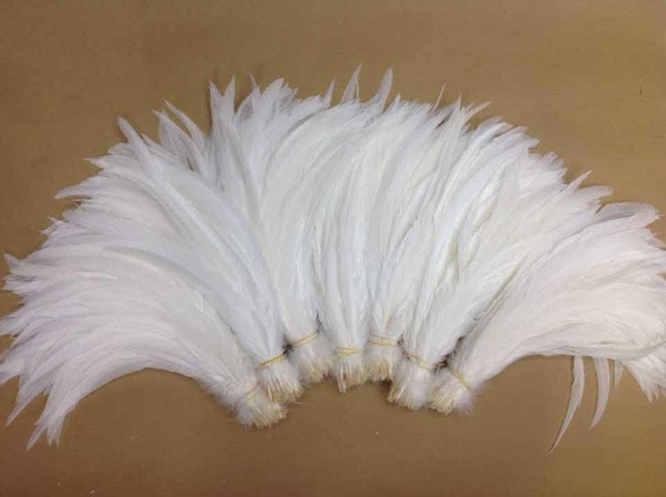 100 Pcs Pure White Coque Rooster Tail Feathers for Feather Costumes ...