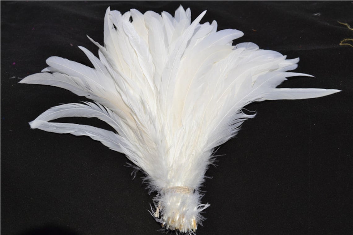 100 Pcs Pure White Coque Rooster Tail Feathers for Feather Costumes ...