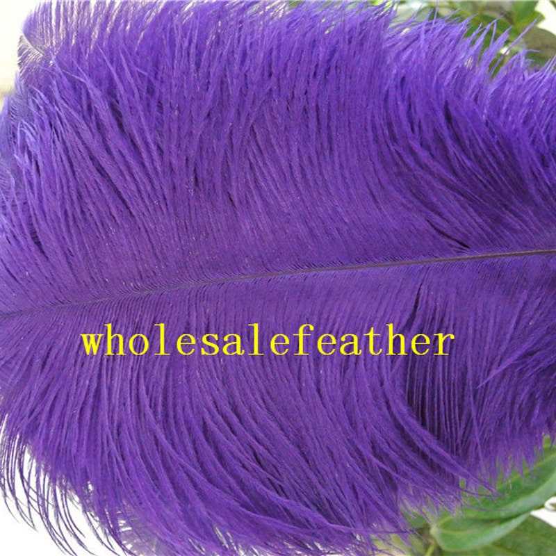 Extra Long Feather Plumes - Etsy
