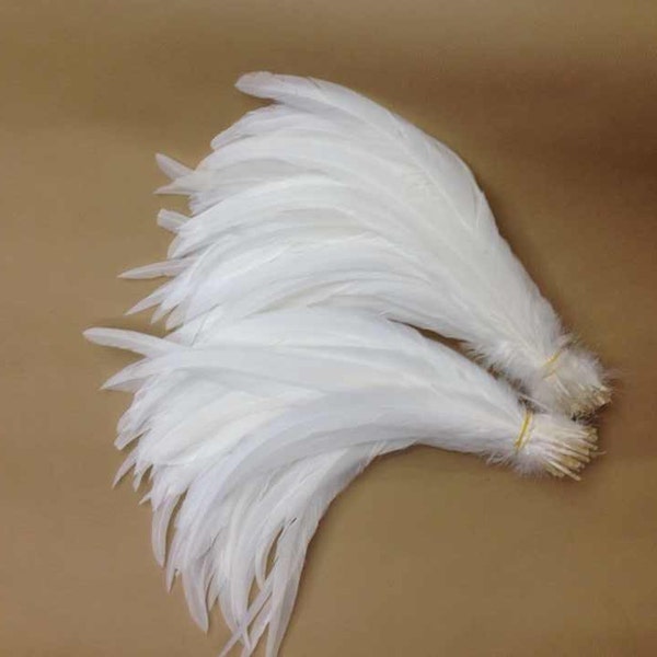 Rooster Tail Feather - Etsy