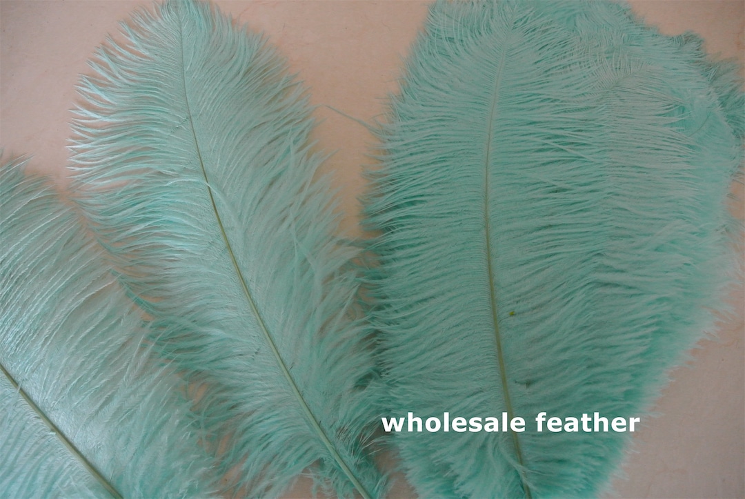 100 Pcs Mint Green Ostrich Feather Plume for Wedding Centerpiece ...