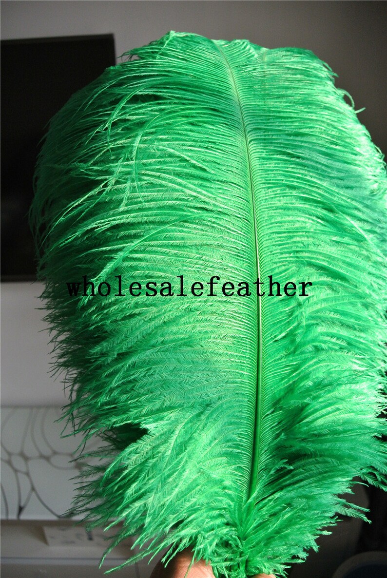 100 pcs kelly green ostrich feather plumes for wedding | Etsy
