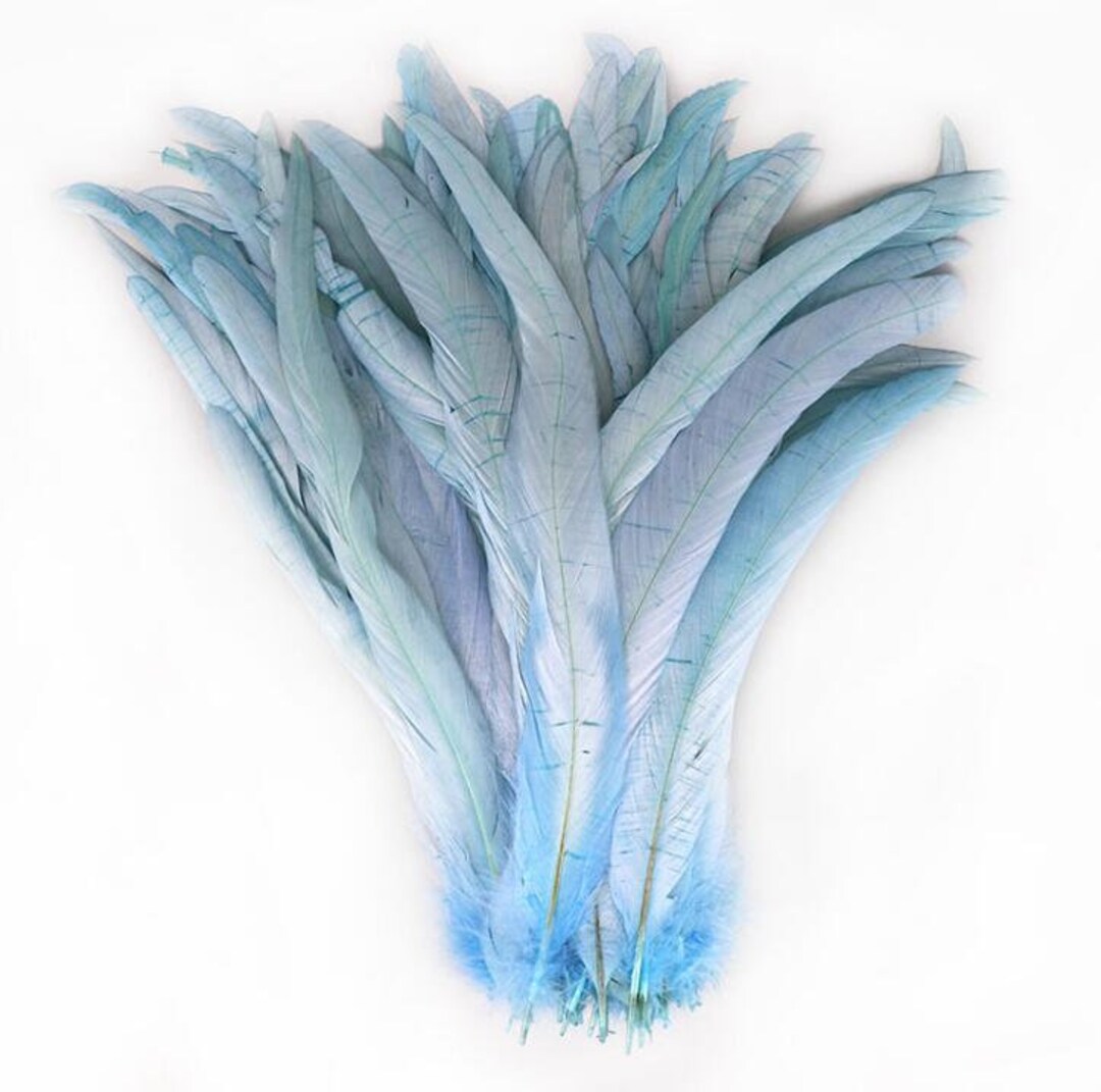 1000 Pcs Light Blue Rooster Tail Feathers Loose for Feather Costumes ...