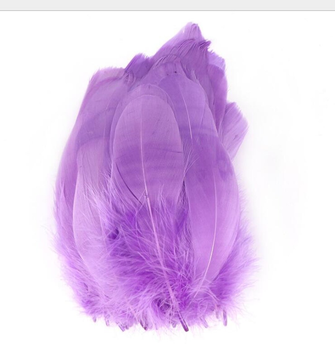 40 Colors 100 Pcs Light Purple GOOSE Feathers Loose for Craft Supply 4 ...