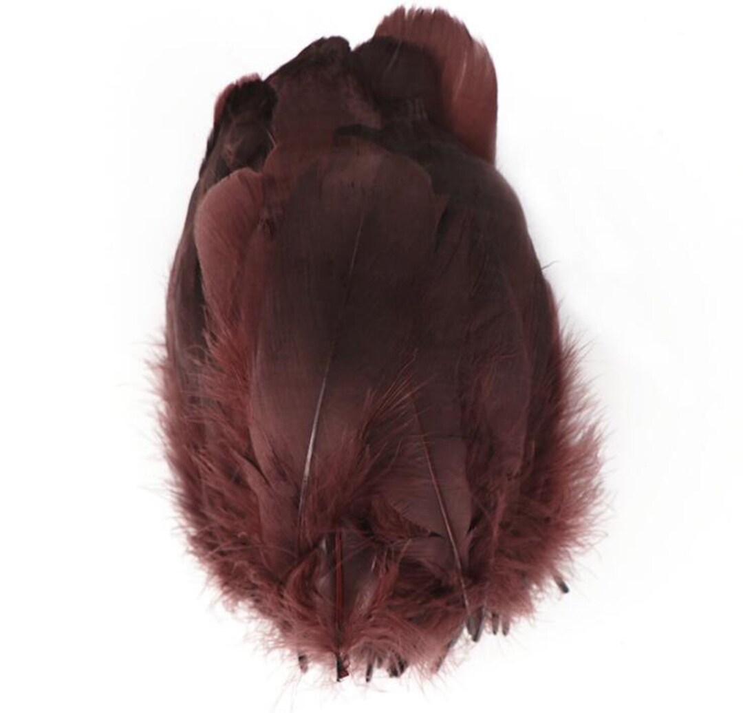 40 Colors 100 Pcs Dark Brown GOOSE Feathers Loose for Craft Supply 4-7 ...