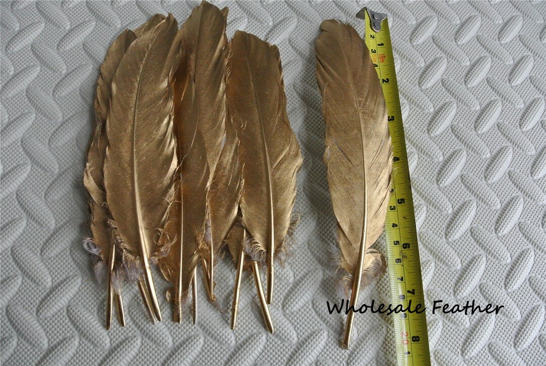 100 Pcs Gold GOOSE Feather Loose for Craft Supply 5-8 in (13-20 Cm) - Etsy