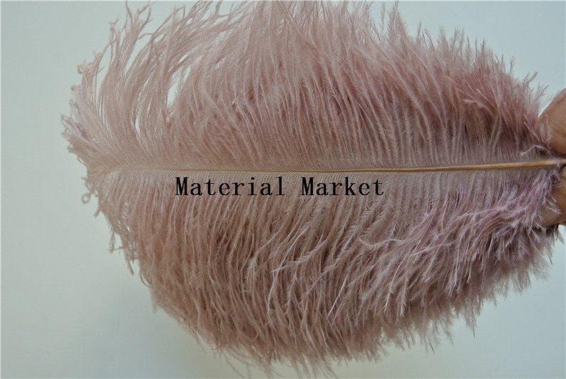 50 Pcs Dust Pink Blush Pink Ostrich Feather Plumes for Wedding - Etsy