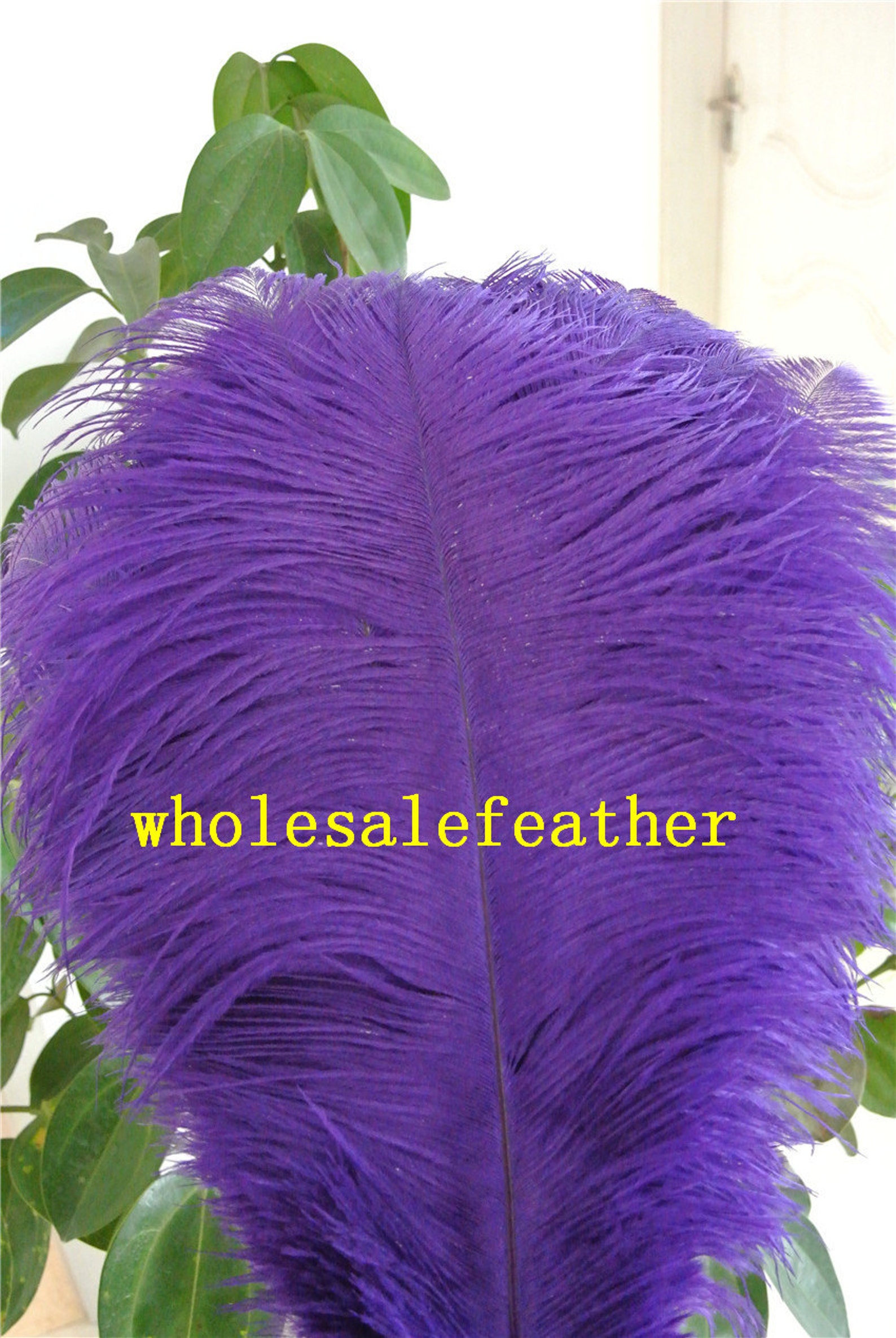 100 Pcs Purple Ostrich Feather Plumes for Wedding Centerpieces - Etsy
