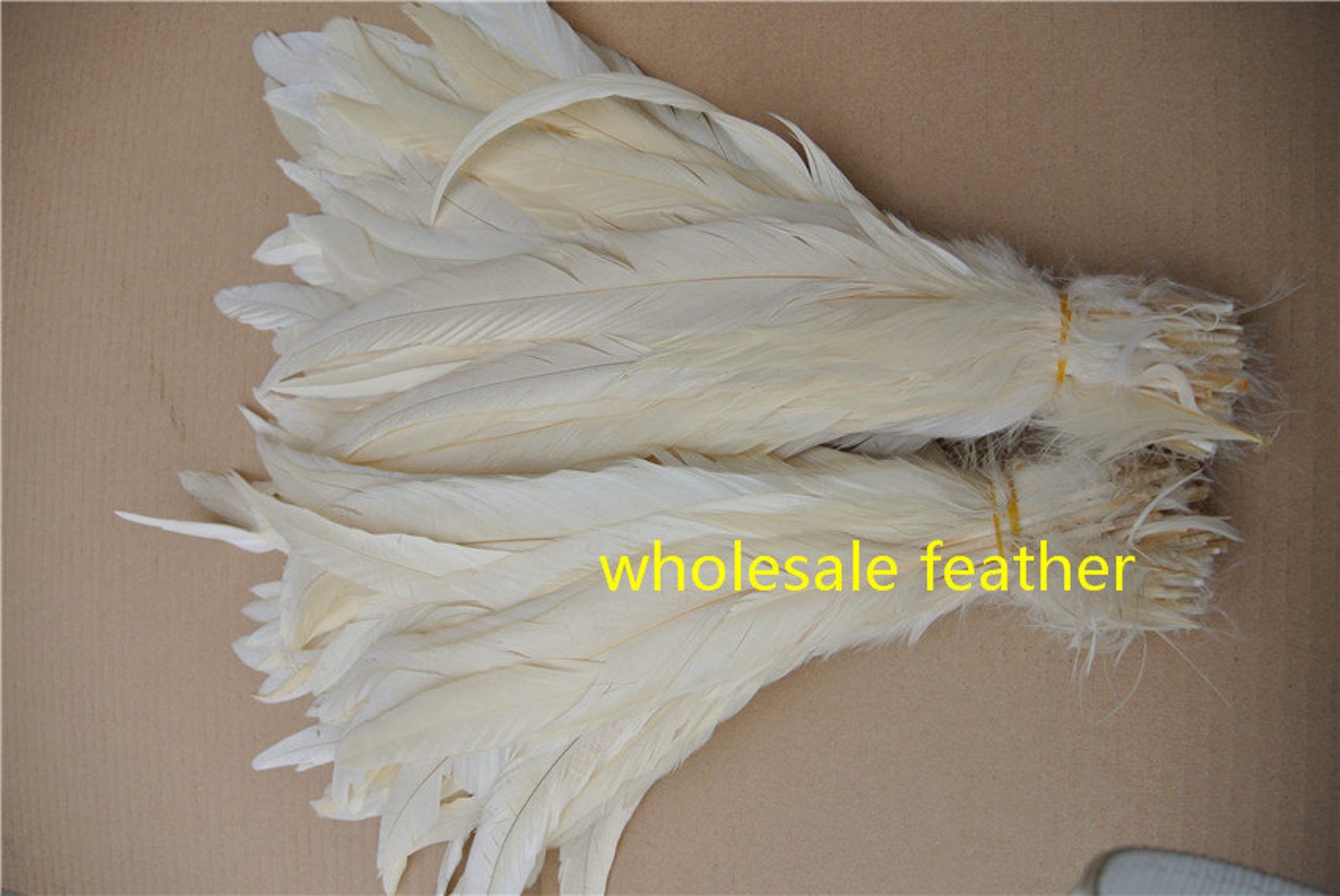 100 Pcs off White Coque Rooster Tail Feathers for Feather Costumes ...
