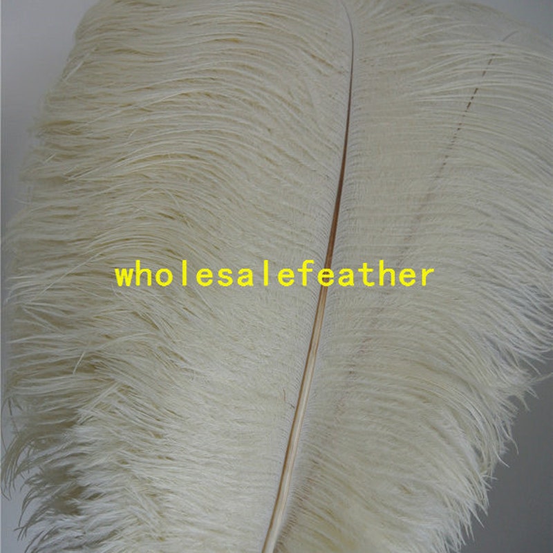 Ivory Feather Plume - Etsy