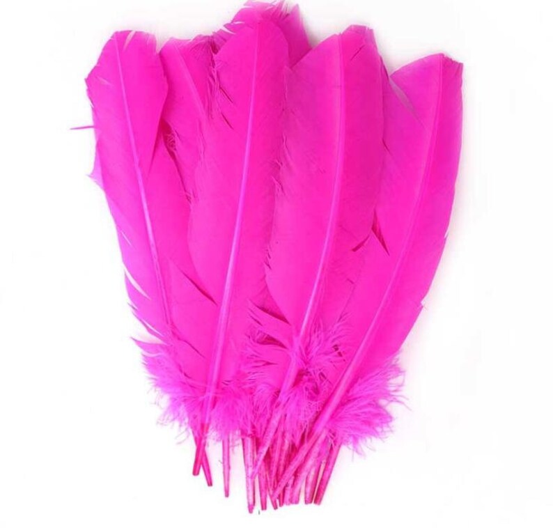 18 Colors 50 Pcs Hot Pink Pheasant Ringneck Feather Turkey Rounds Quill ...