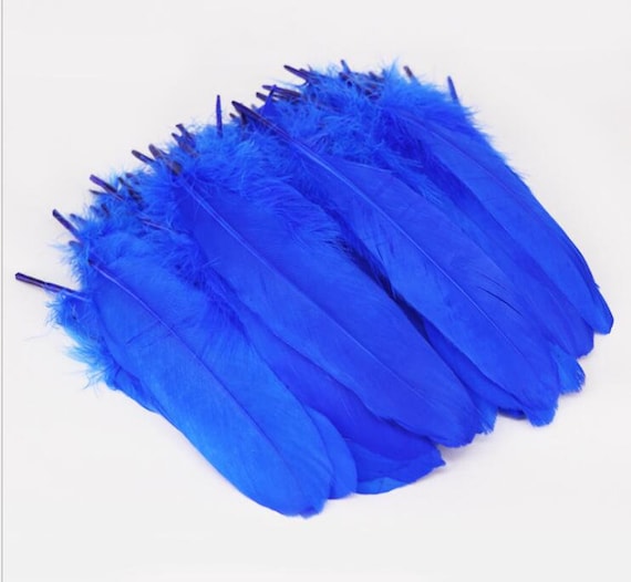 100 pcs royal blue GOOSE feathers loose 5-8inch for craft | Etsy
