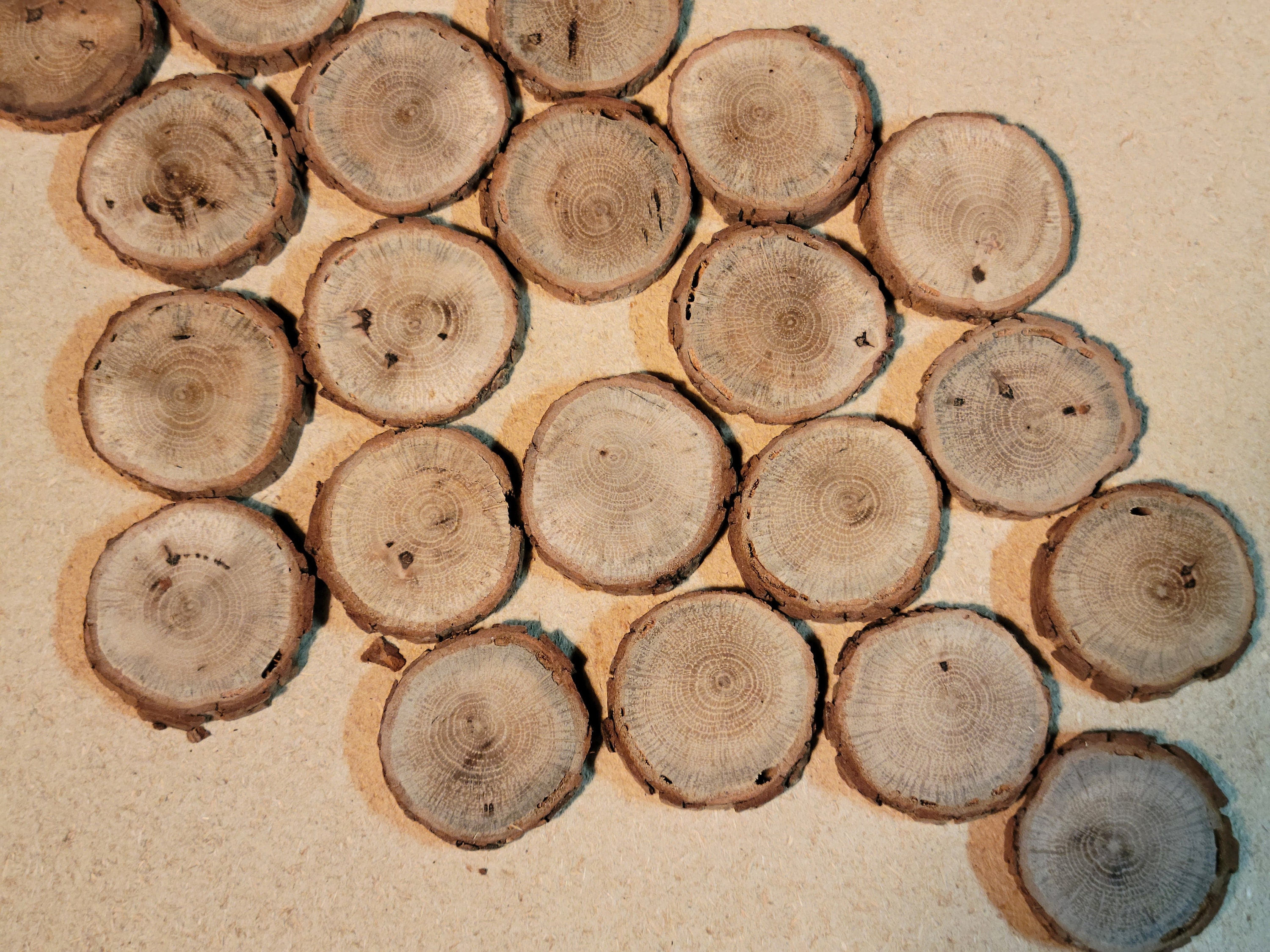One Pound Package of 28 2 Inch Round Hardwood Cookies - Etsy