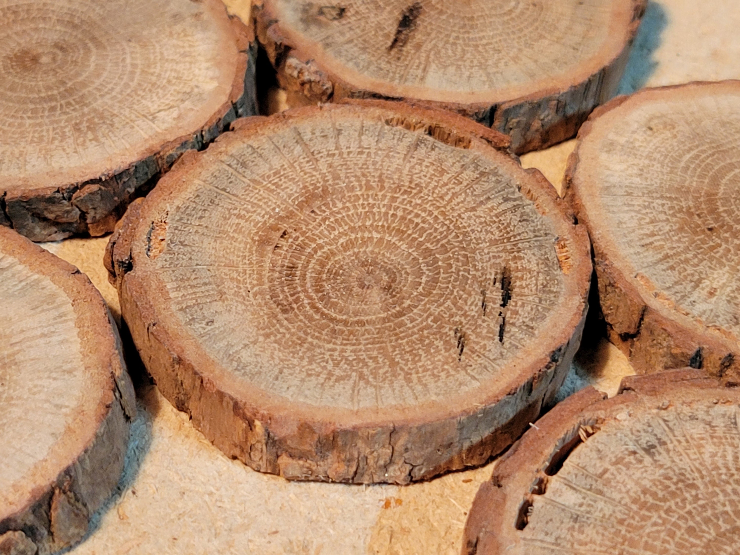 One Pound Package of 28 2 Inch Round Hardwood Cookies - Etsy
