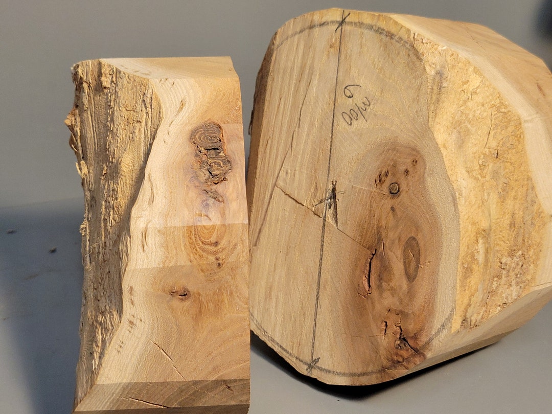 Two Wood Bowl Blanks Red Elm Billets for Wood Turning and Knife Scales ...