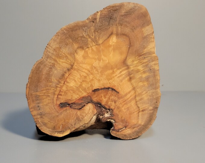 Wildly Figured Wood Billet Red Box Eucalyptus 4x4x3 Inches 9% MC Dry ...