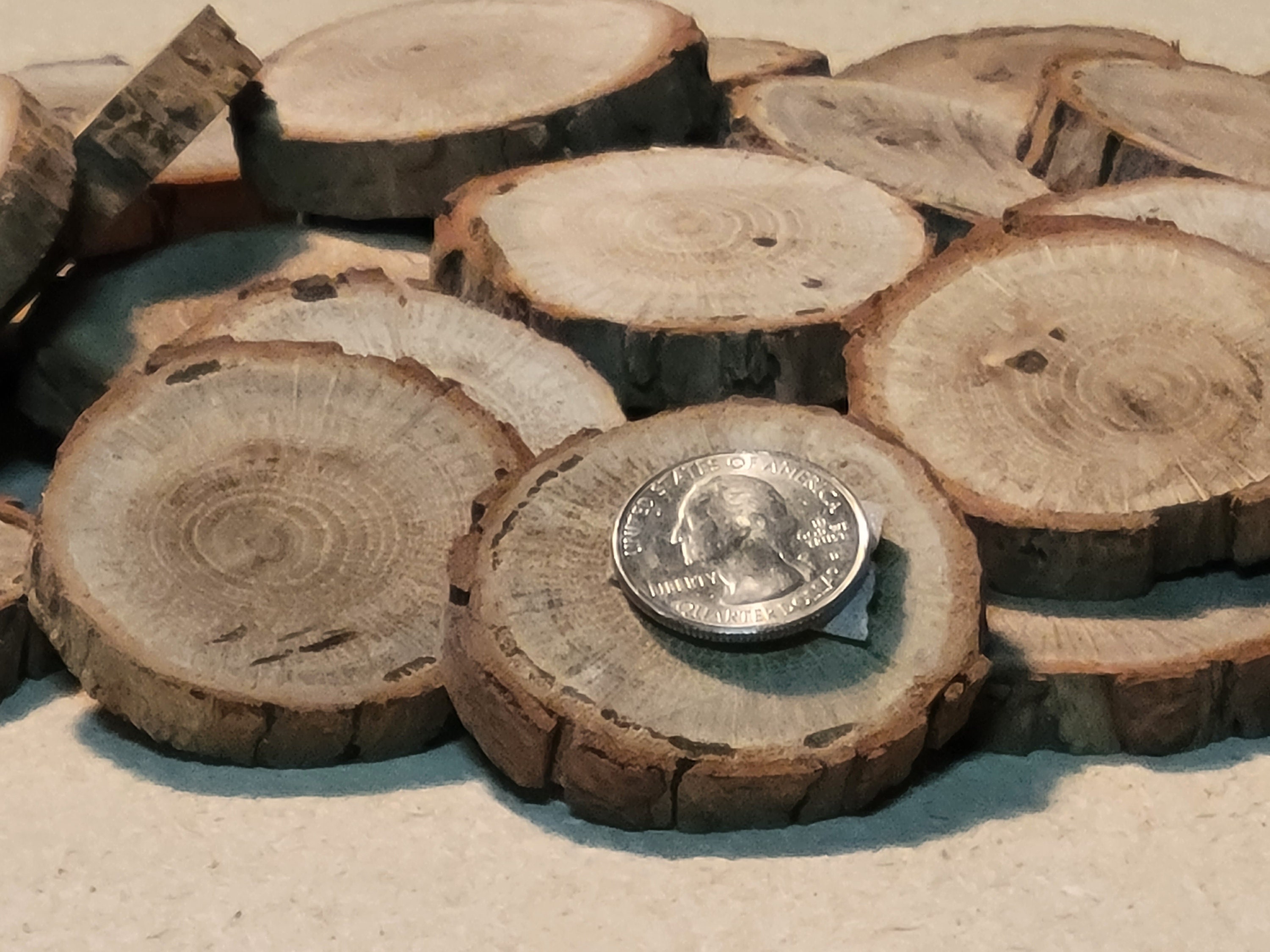 One Pound Package of 28 2 Inch Round Hardwood Cookies - Etsy