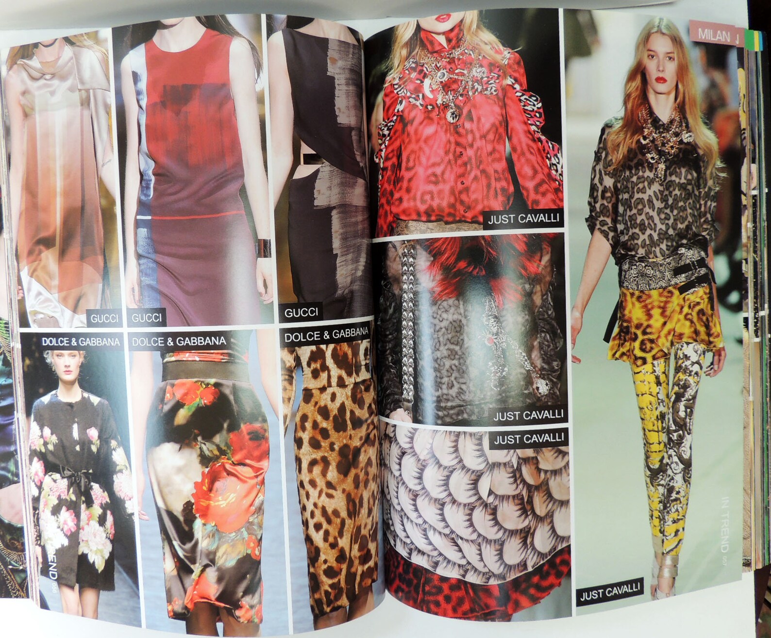 IN TREND PRINT: Runway New York London Milan Paris Catalog | Etsy