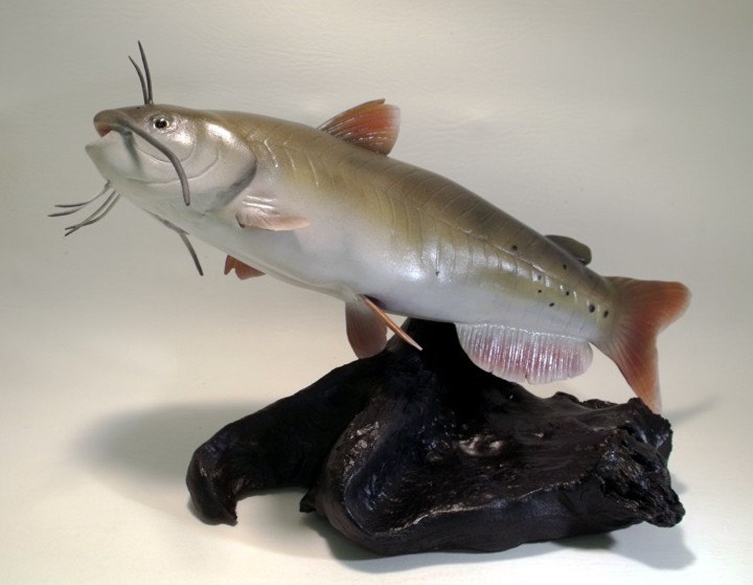 15"channel Catfish With Northern Coloring - Etsy