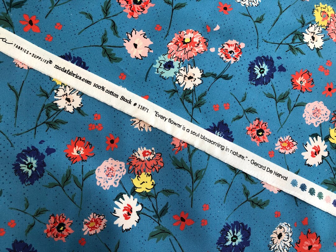 Fabric by HALF YARD Lady Bird 11871-20 by Crystal Manning for Moda ...