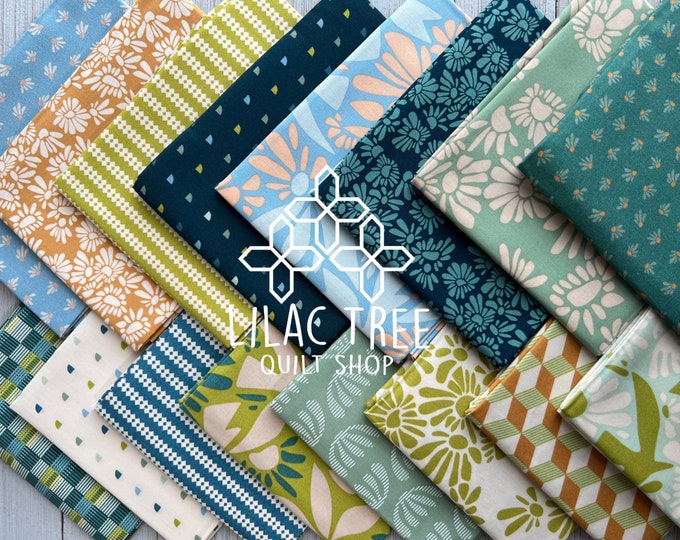 Evolve Fabric Wonders 16 Pieces Fat Quarter Bundle by Suzy Quilts Art Gallery Fabrics 18 X 22 ...