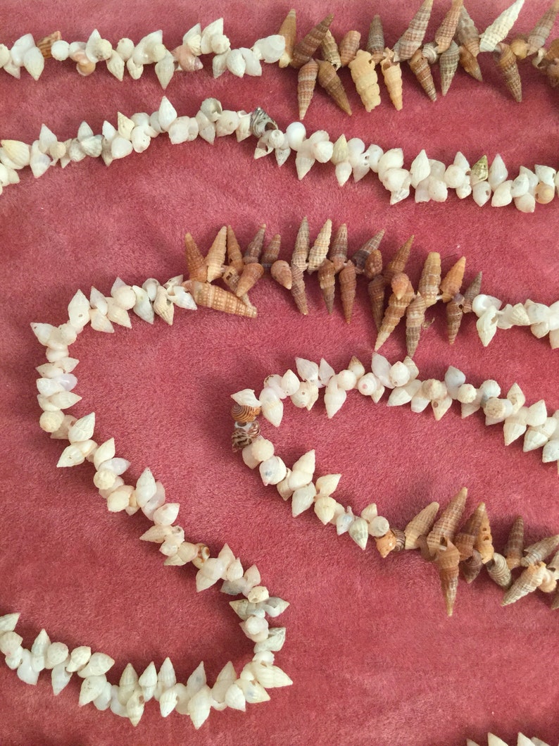 Antique Vintage Jewellery Australian Aboriginal Old Shell Necklace ...