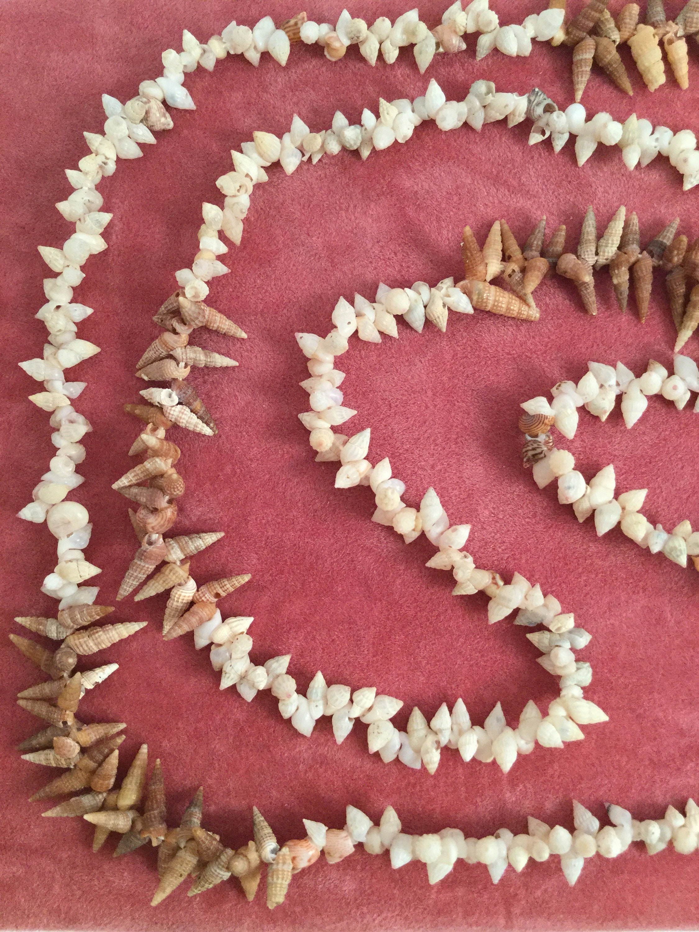 Antique Vintage Jewellery Australian Aboriginal Old Shell Necklace ...