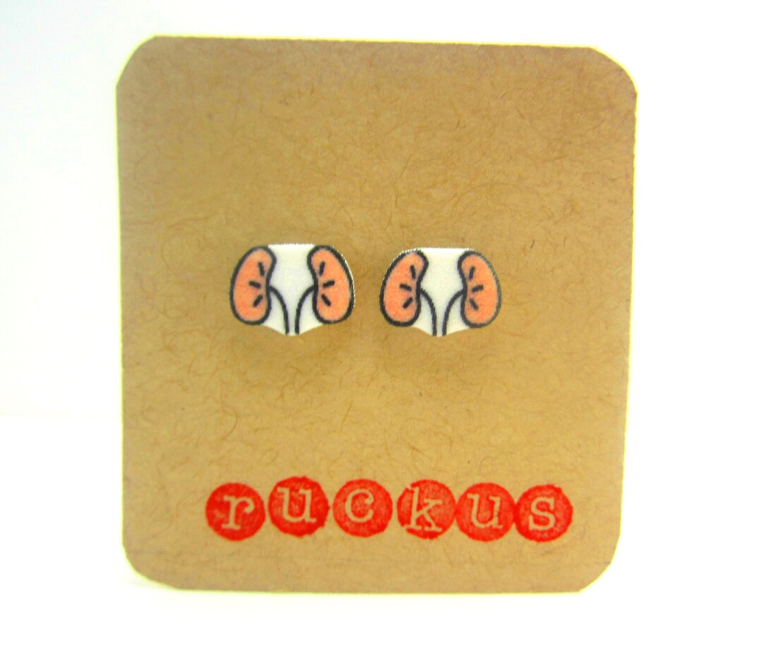 Kidney Stud Earrings, Kidney Jewelry, Human Kidney, Real Kidney, Funny ...