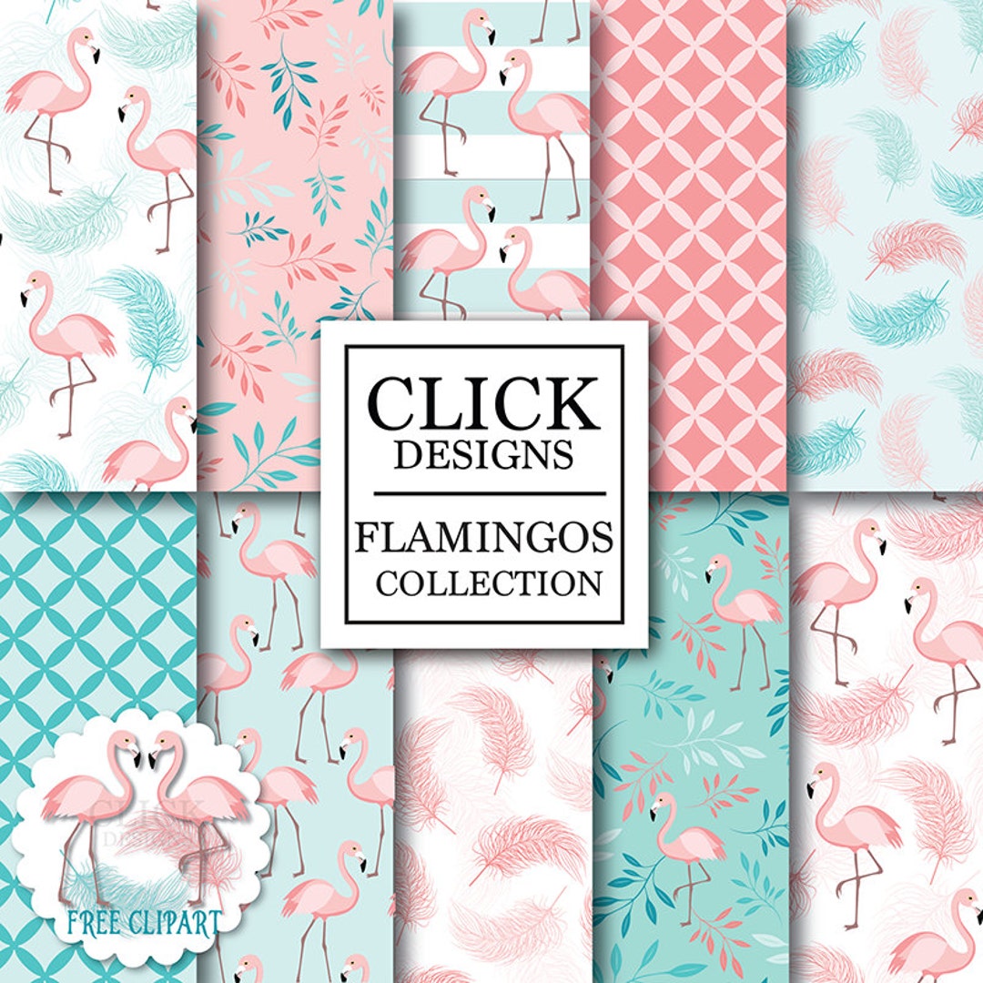 Flamingo Digital Paper: flamingos Birds in Pink, Teal, Coral, Feathers ...