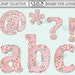 SHABBY PINK ALPHABET Digital Clipart: Letters, Numbers, Symbols ...