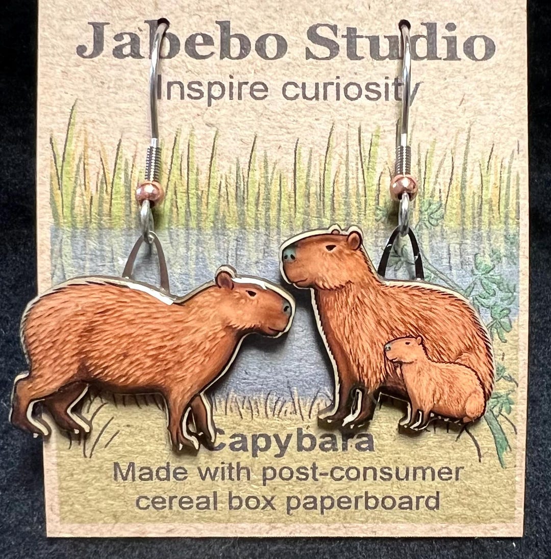 Capybara- Cereal Box Earrings by Jabebo - Etsy