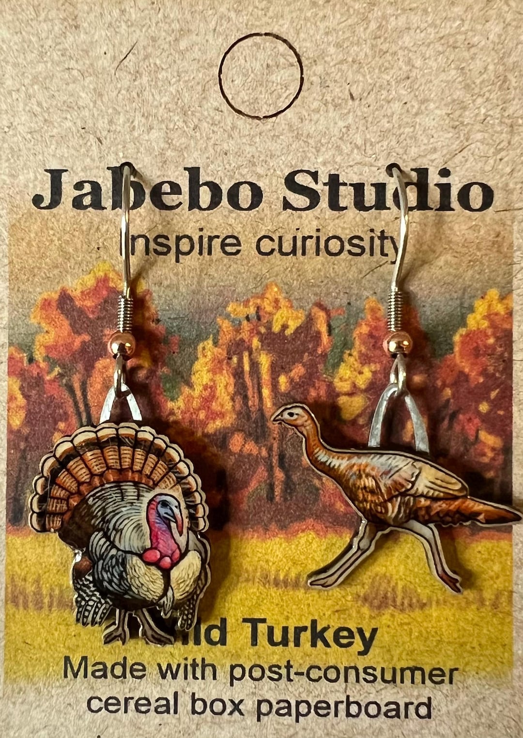 Wild Turkey by Jabebo, Inspiring Curiosity With Reused Cereal Box ...