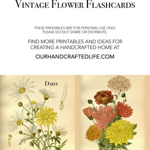 Charlotte Mason Inspired Vintage Nature Flash Cards - Vintage ...