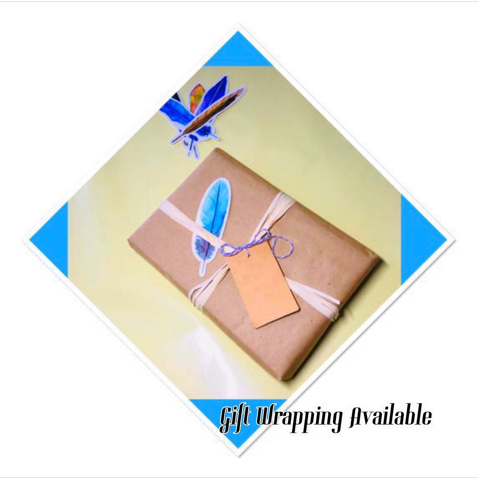 Berry Finder by Dorcas S. Miller, A Guide to Native Plants With Fleshy ...