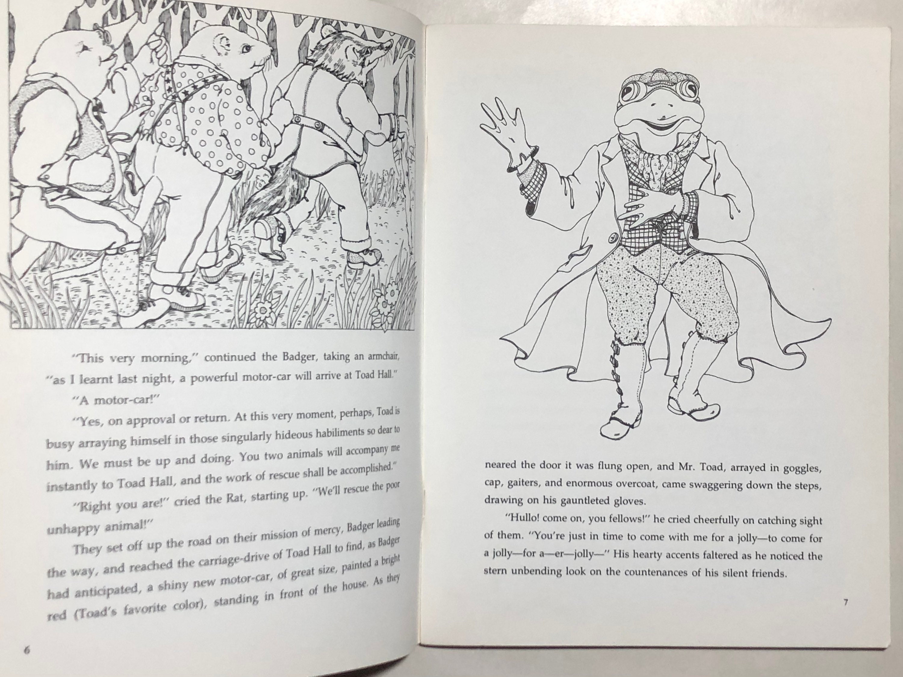 The Wind in the Willows Coloring Book 1976 Toads Adventures - Etsy