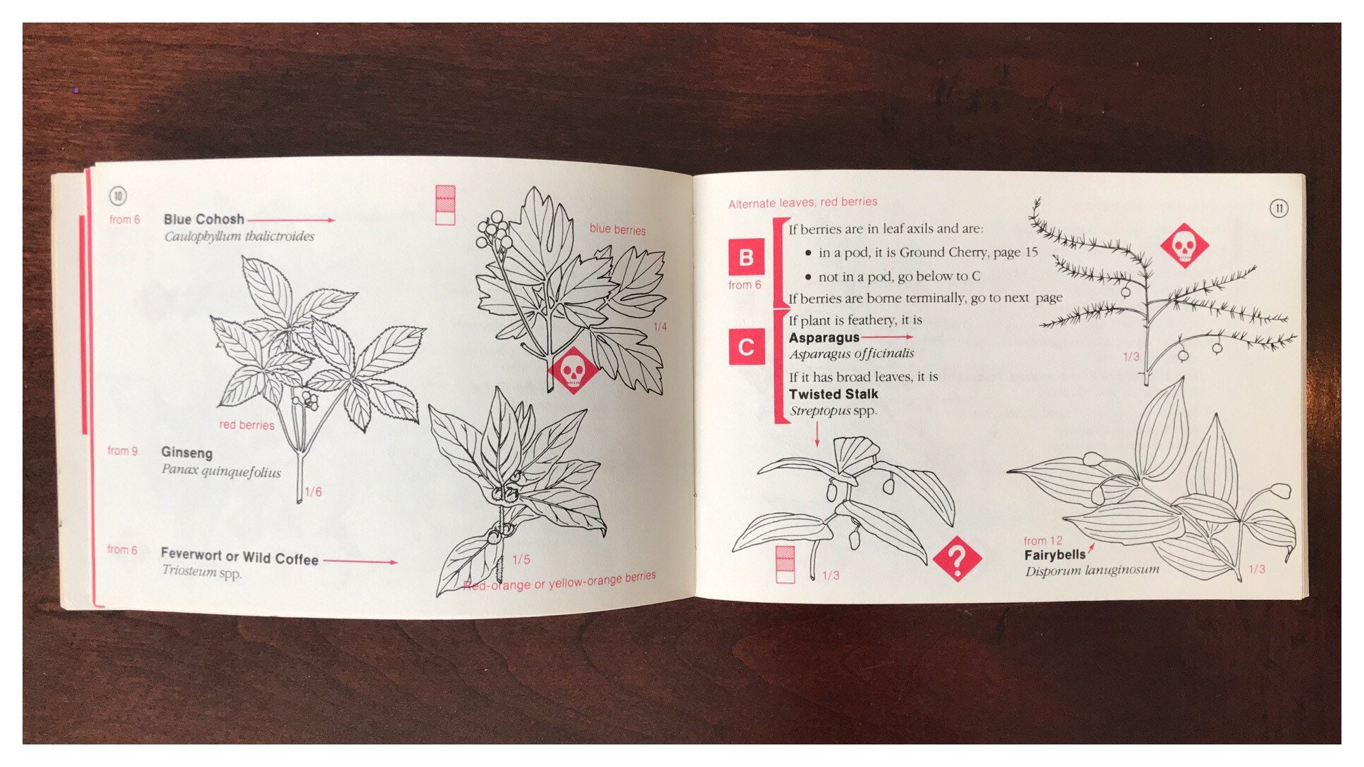 Berry Finder by Dorcas S. Miller, A Guide to Native Plants With Fleshy ...