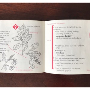 Berry Finder by Dorcas S. Miller, A Guide to Native Plants With Fleshy ...