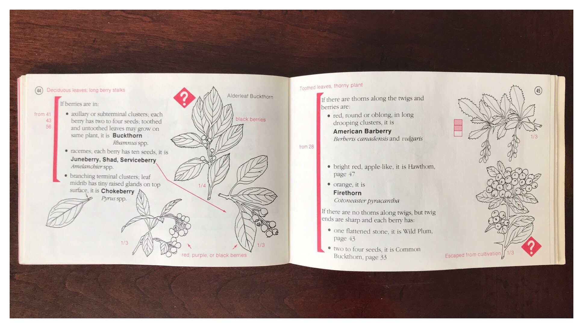 Berry Finder by Dorcas S. Miller, A Guide to Native Plants With Fleshy ...