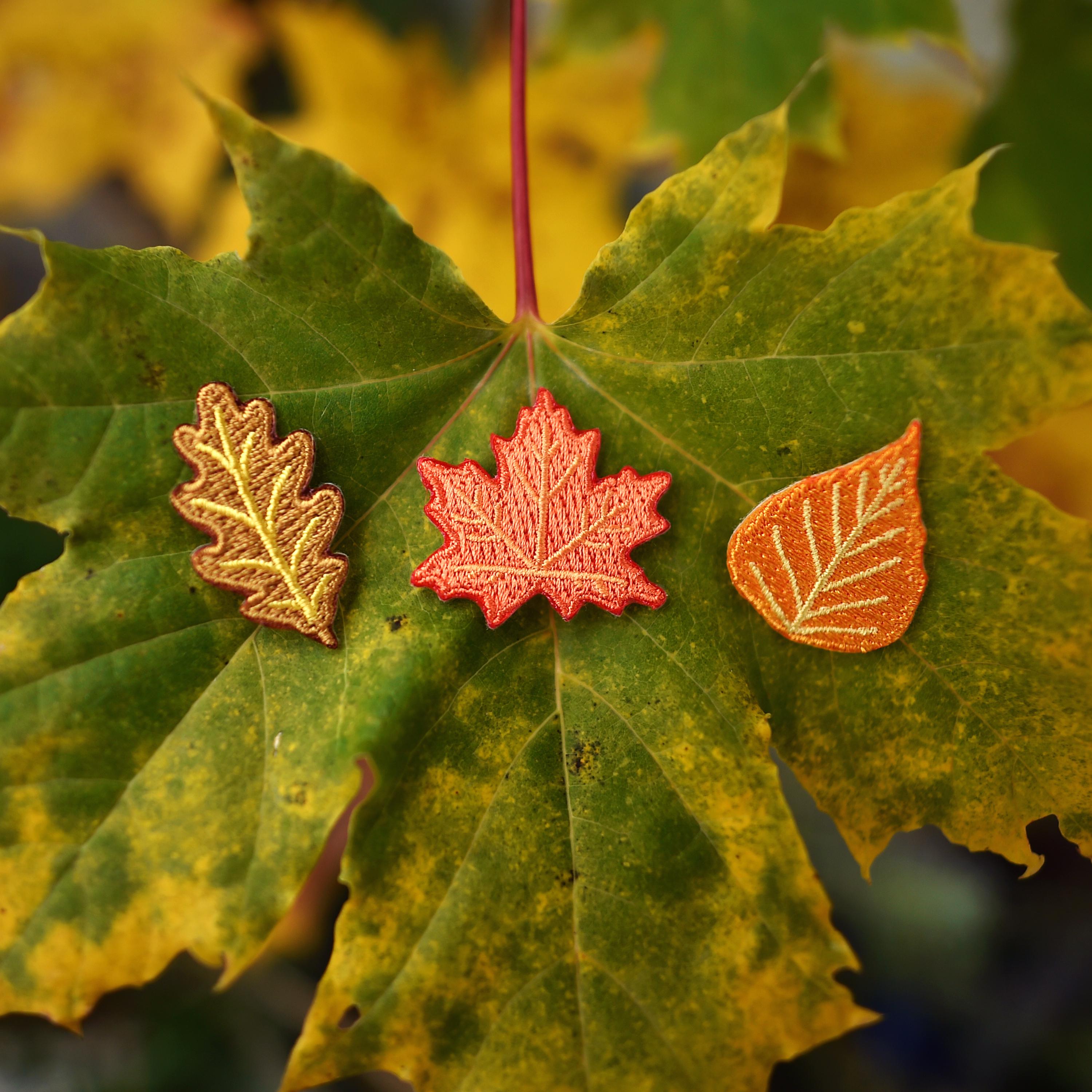 Leaves Patches - Iron-on Autumn Leaves, Oak, Maple, Birch - Etsy