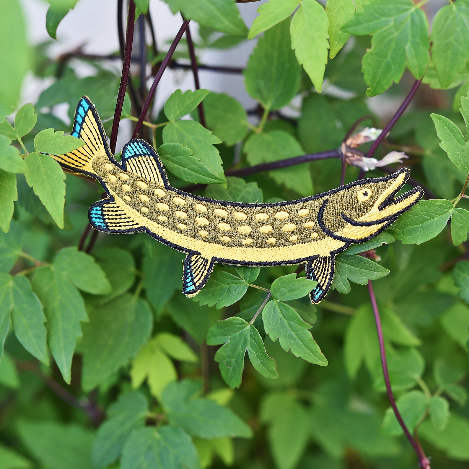 Pike Iron-on Patch - Catch of the Day - Etsy