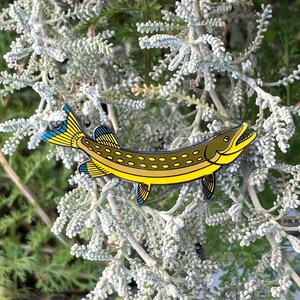 Pike - Hard Enamel Lapel Pin, Badge, Brooch, Pin, Animal, Nature ...