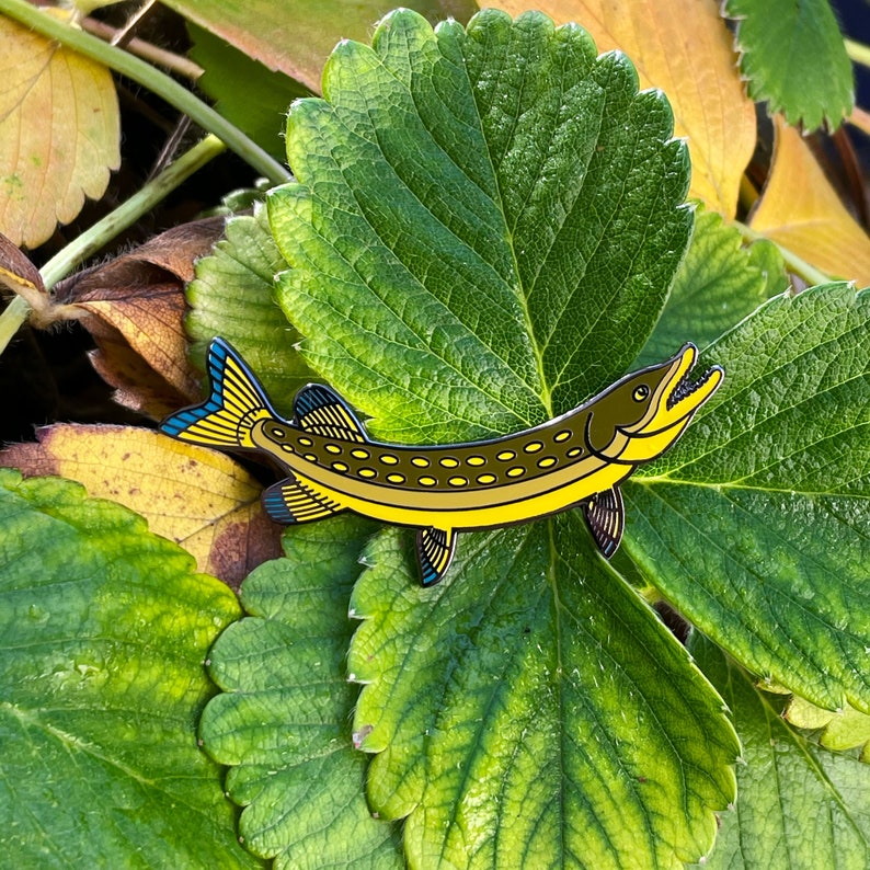 Pike Hard Enamel Lapel Pin Badge Brooch Pin Animal - Etsy