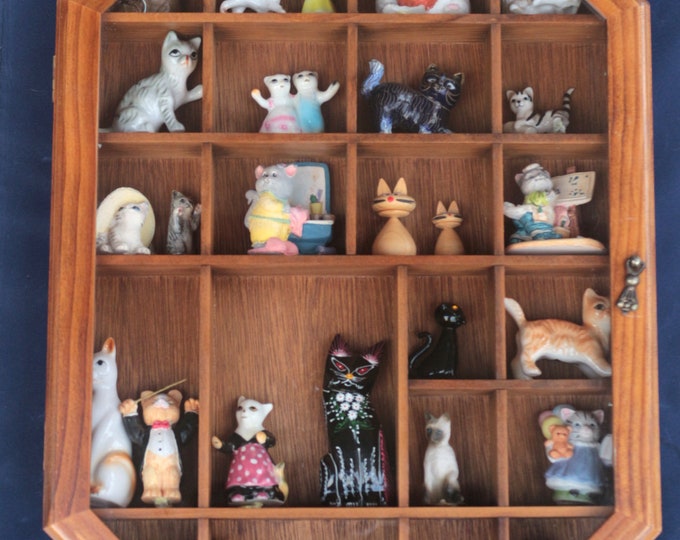 Wall Display Case for Collection Cats and Kittens Porcelain/glass/wood ...