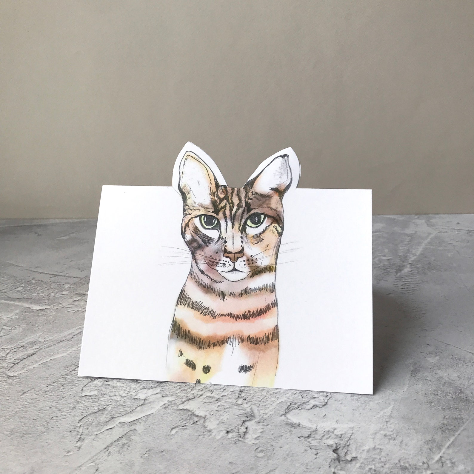 Pop up Cat Greeting Cards, Cat Lover Card, Pop up Cat Cards, Cat Mum ...
