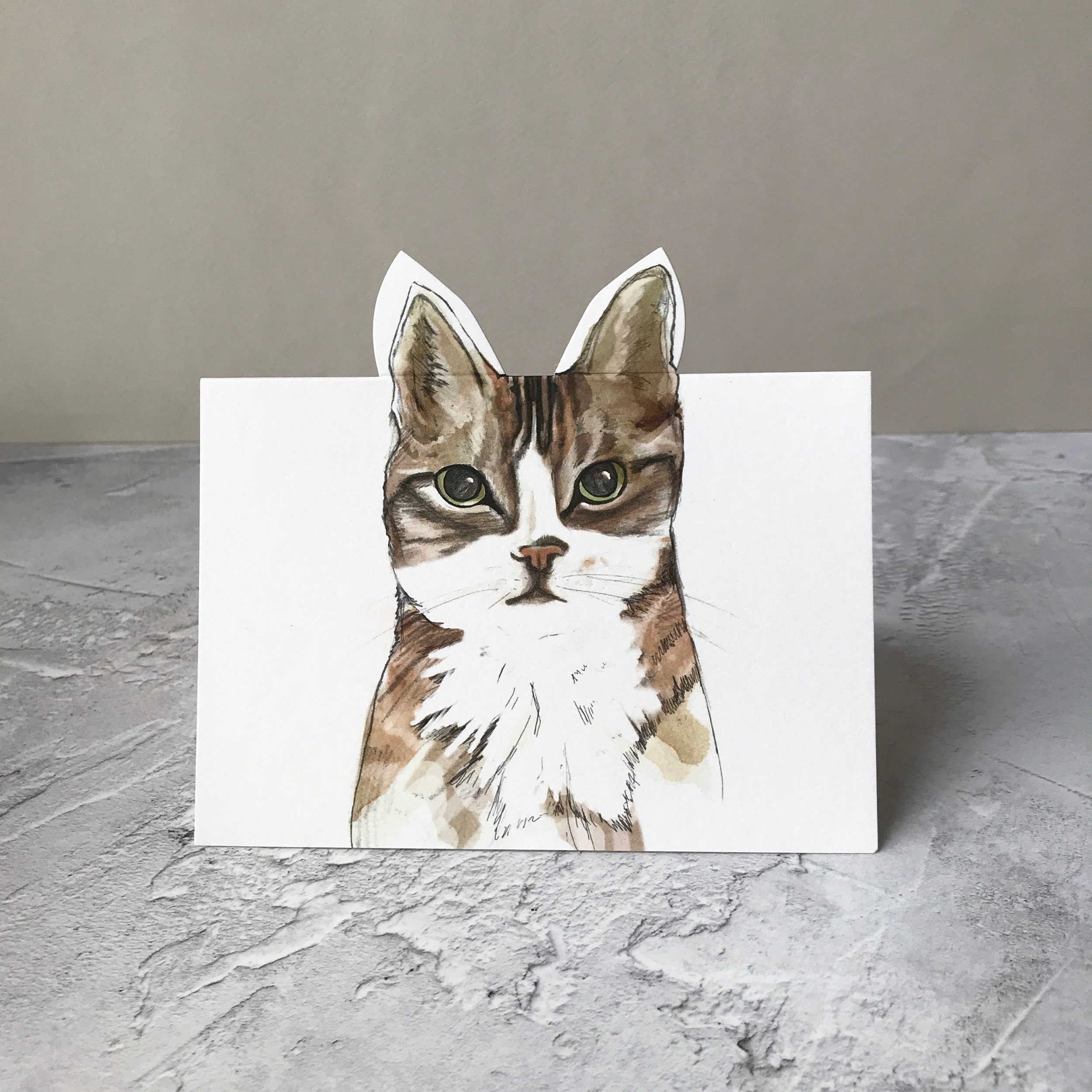 Pop Up Cat Greeting Cards Cat Lover Card Pop Up Cat Cards | Etsy