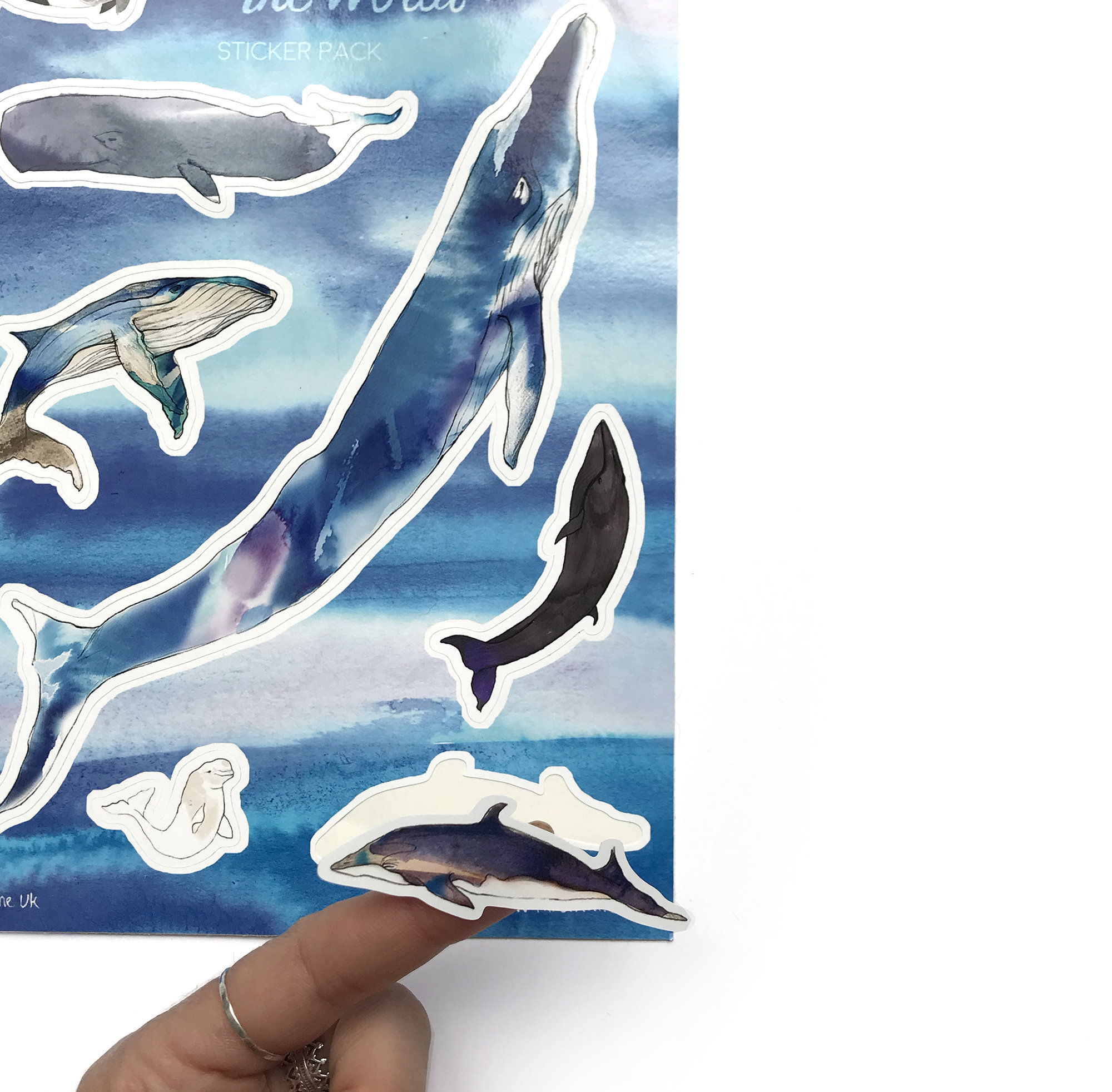 Whales Sticker Set, Whale Stickers, Blue Whale Stickers, Stationery Set ...