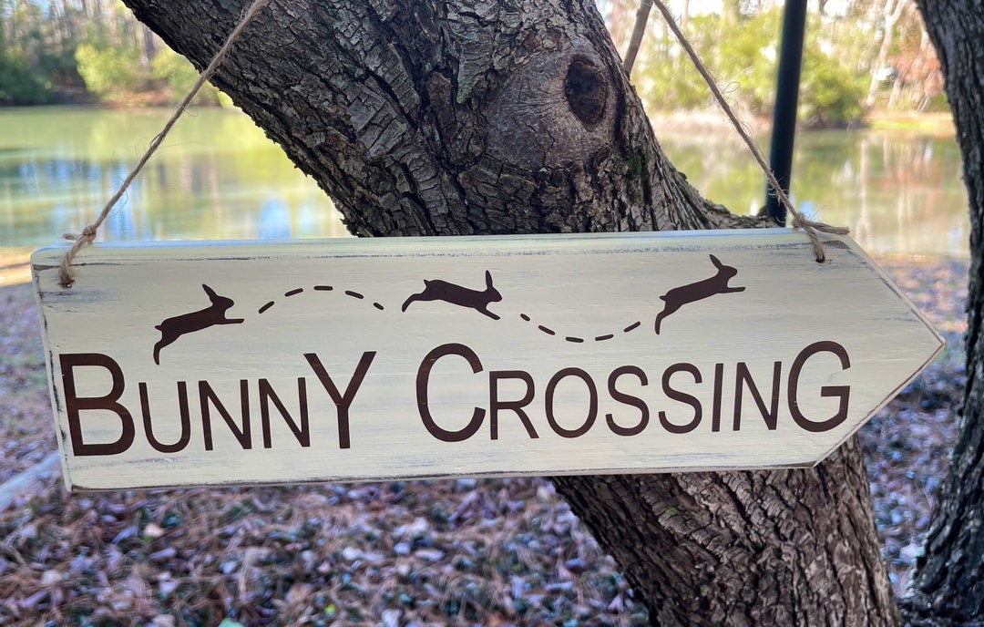 Bunny Crossing Arrow Painted Wood Sign With Jute Rope Hanger, 3”x12 ...