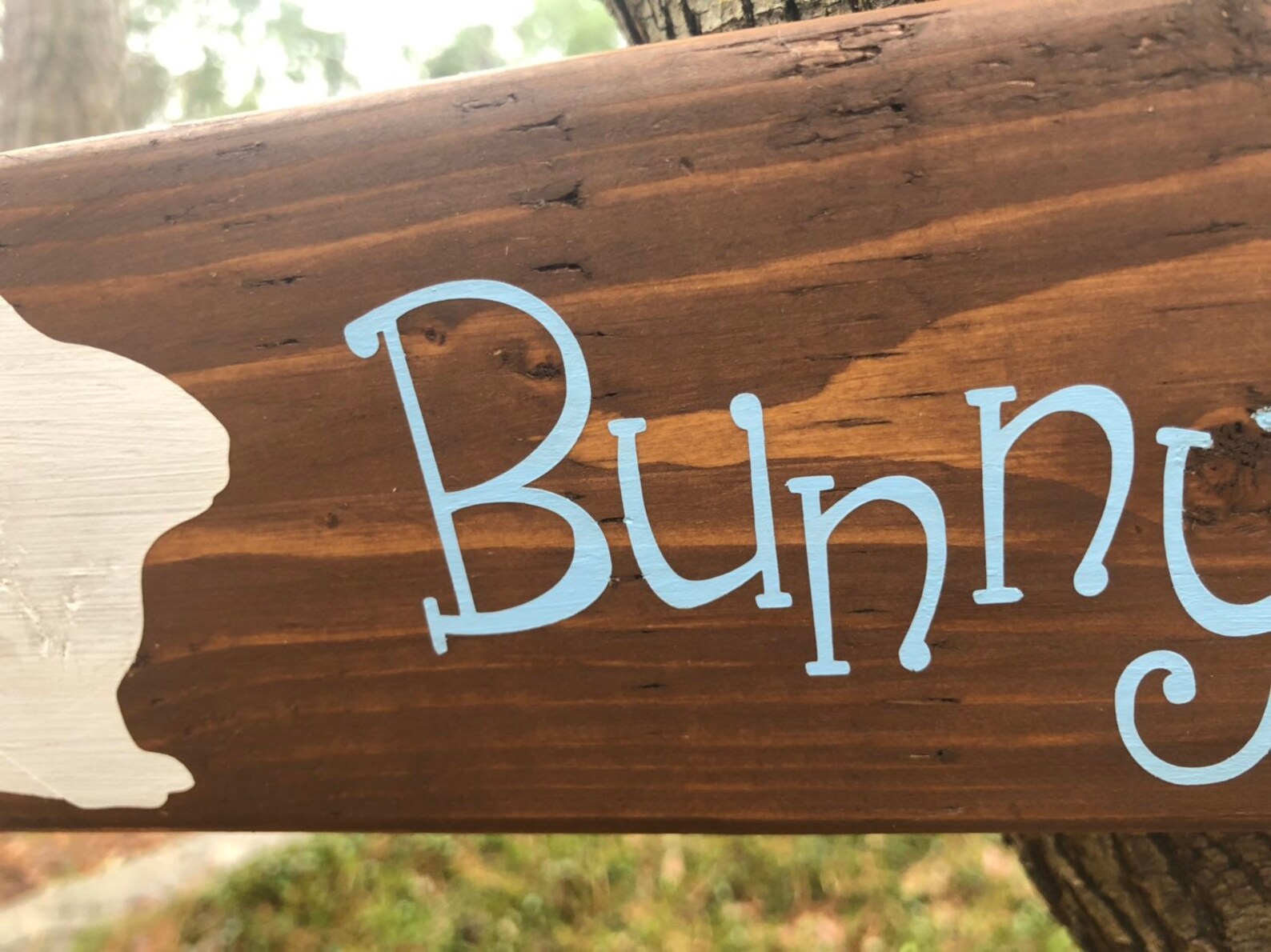 Bunny Trail Arrow Sign With Rope Hanger, 3 1/4” X 12” on 1/2” Wood ...