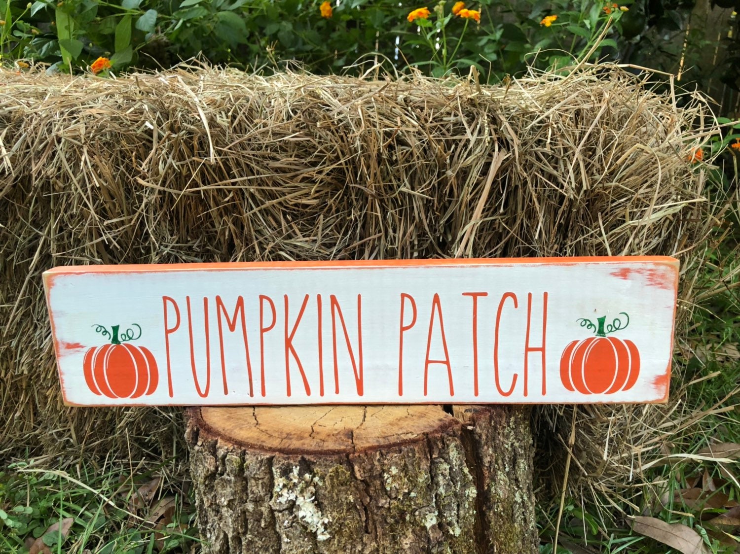 Pumpkin Patch Wood Sign, 3 1/2" X 14 1/2" on 1/2" Pine Wood - Etsy