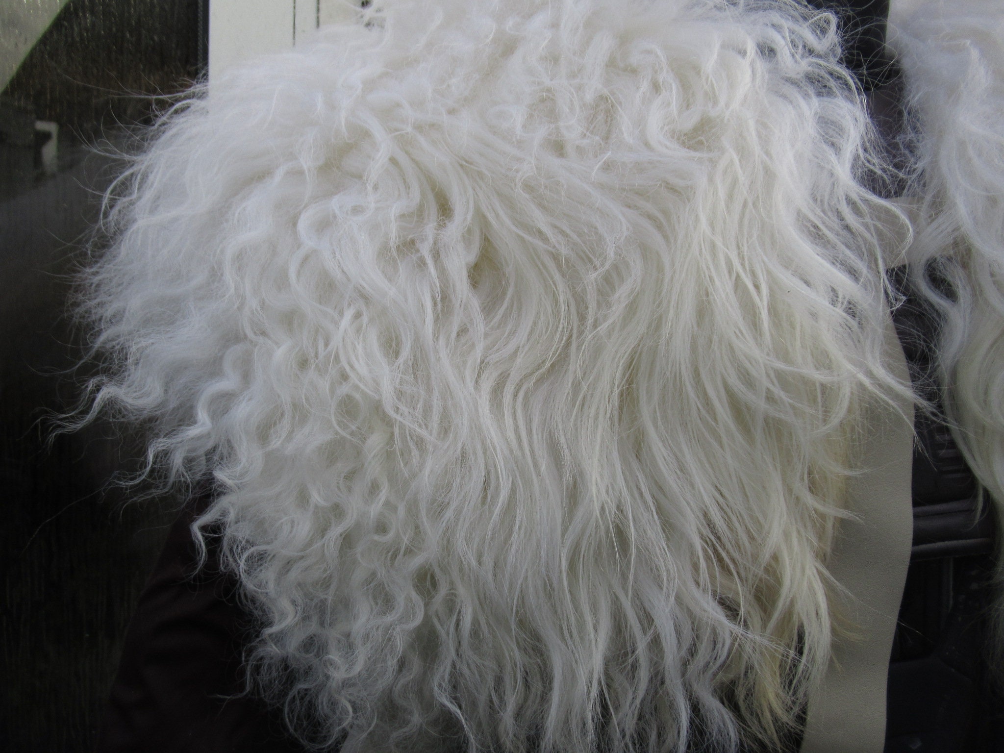 Fantasy Fur Cape White Bear Style Cape Long Back 41 Inches - Etsy